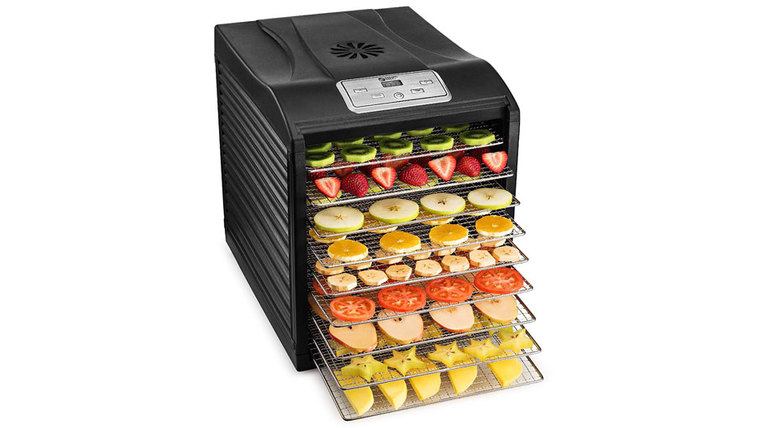 Magic Mill Food Dehydrator: An Honest Review | HealthyMealsHub.com